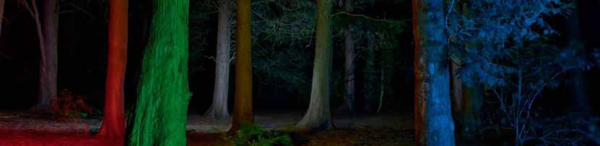 Multi-colour Torches | Versatile LED Lighting Solutions – Ledlenser ...